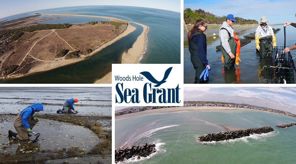WHOI | Sea Grant